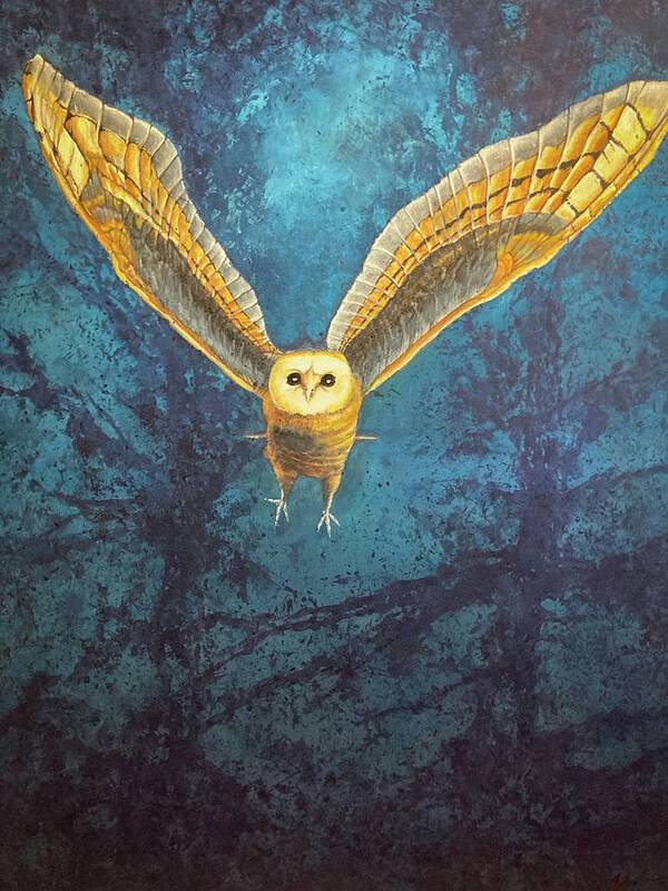 Night Owl 1 - Art Print available at 1ArtCollection